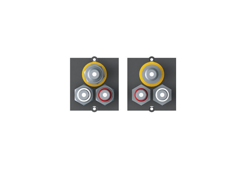 Bachmann Custom Modul Video + Cinch Stereo BVM-1 917.026